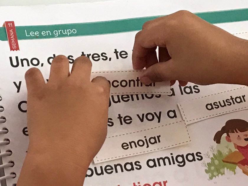 Rompecabezas de palabras – Educación y Neurodesarrollo